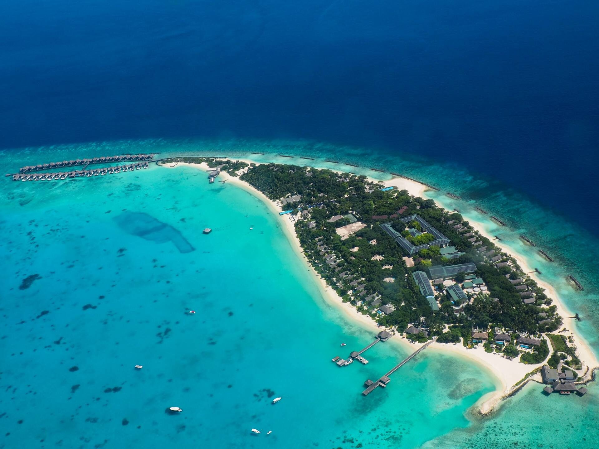 Maldivians reject leaders' shark backsliding