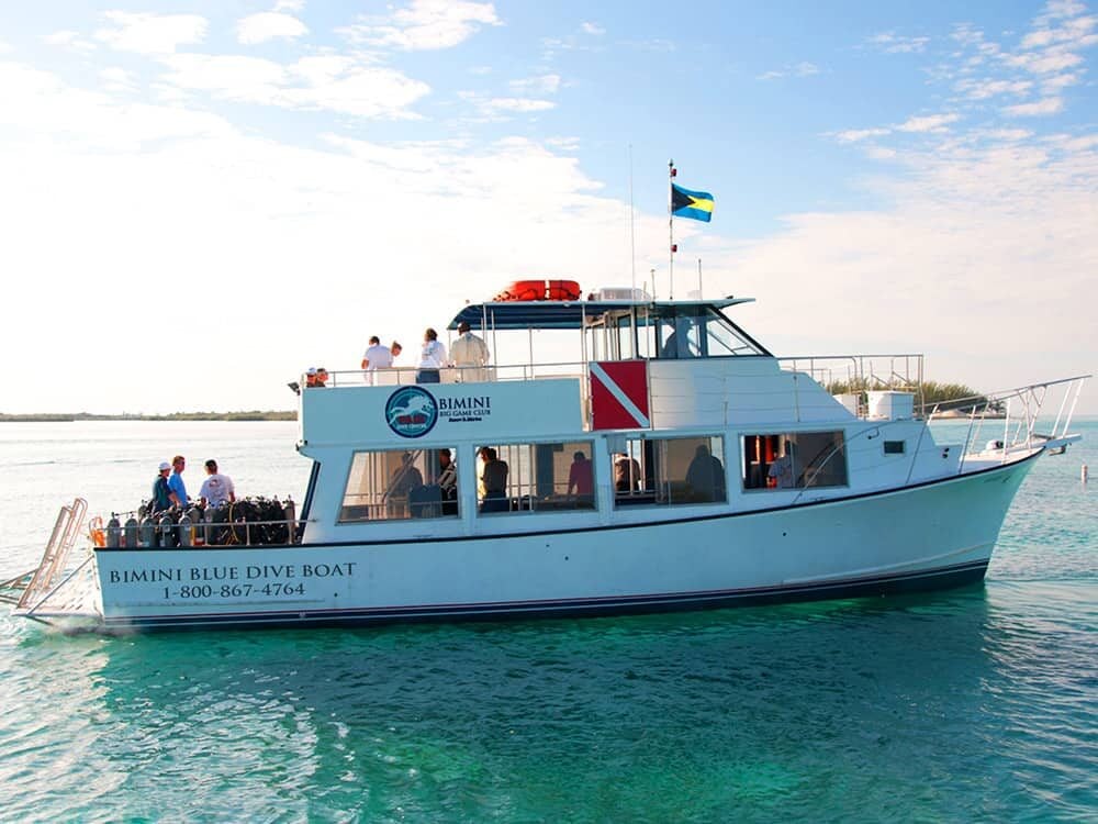 Neal Watson celebrates 50 years in Bimini