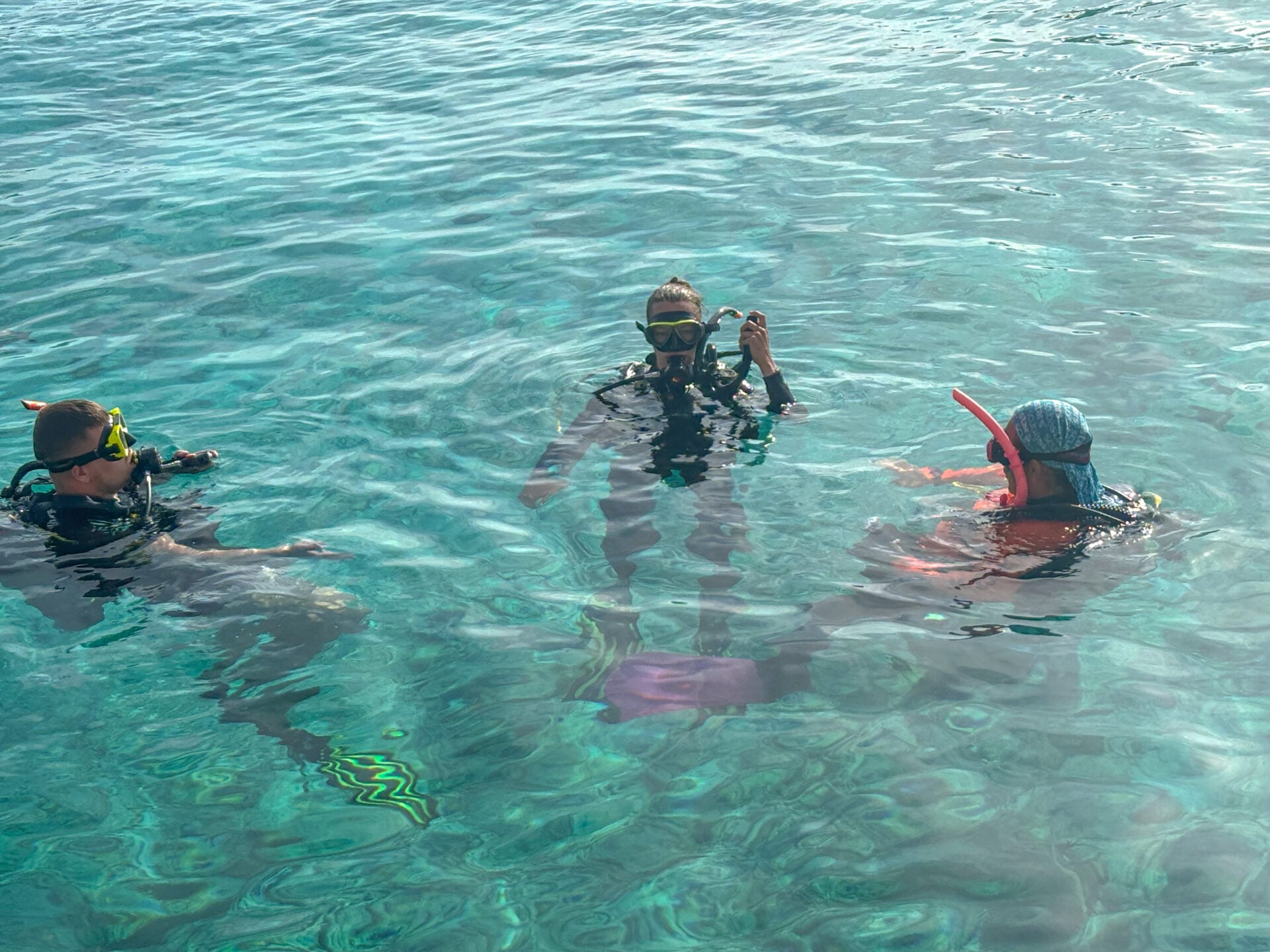 Buddy Dive Resort marketing goes diving!