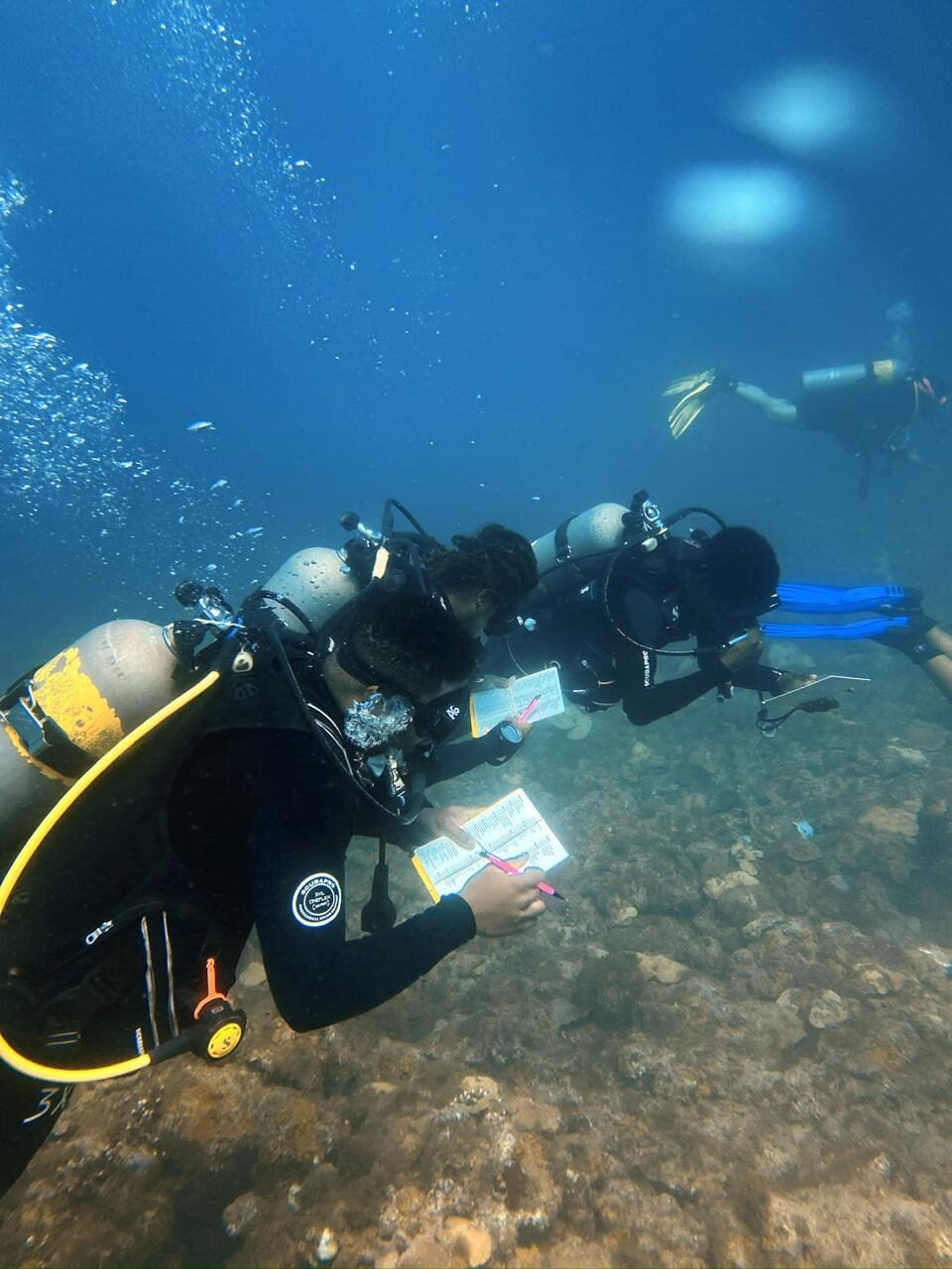 Aquanauts Grenada launches 'Roots-to-Reef Retreats' at DEMA Show 2025