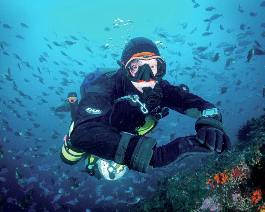 Diving New Zealand Waters: Exploring Aotearoa’s Reefs, Wrecks and ...