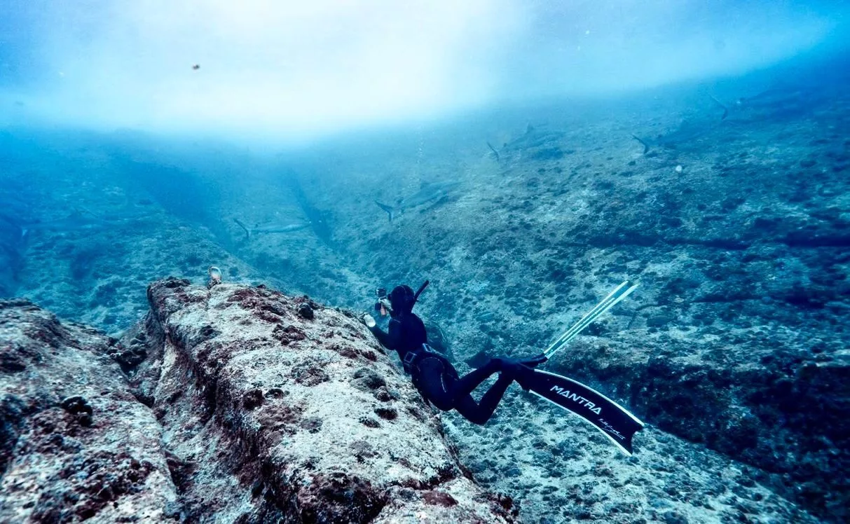 Freediving workshops at GO Diving Show