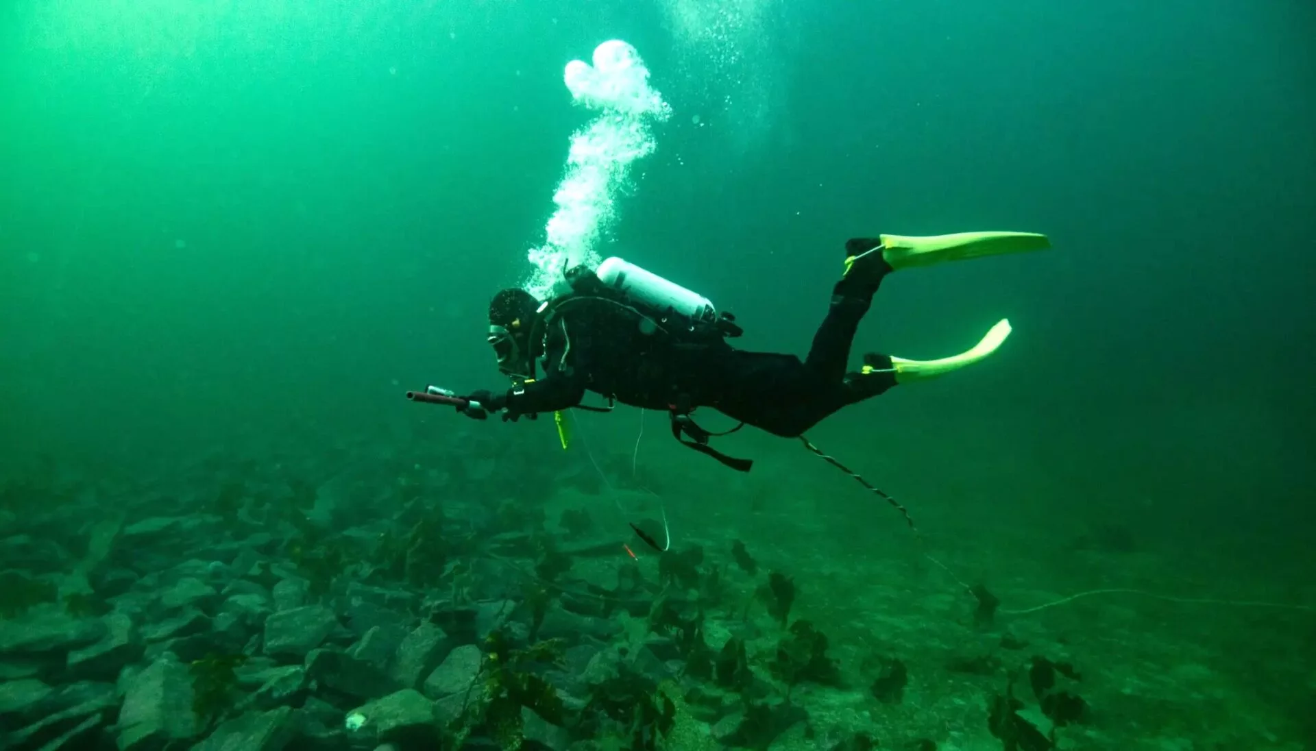 Whalegate: Divers find ancient trap in Norway