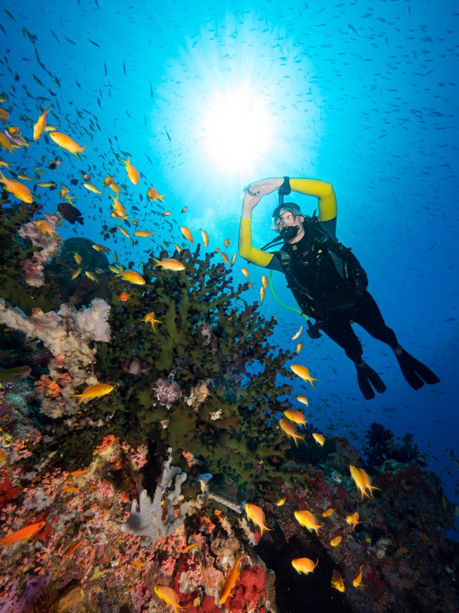 Papua New Guinea - The 5 Must-Visit Dive Resorts
