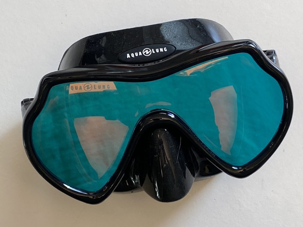 Best Scuba Diving Masks 2021, Reviewed & Tested