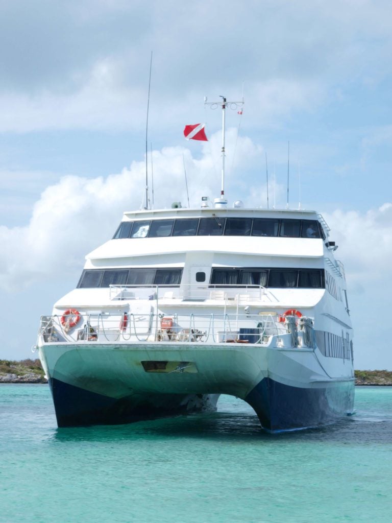 Liveaboard Diving: 10 Top Tips For Booking Your First Liveaboards