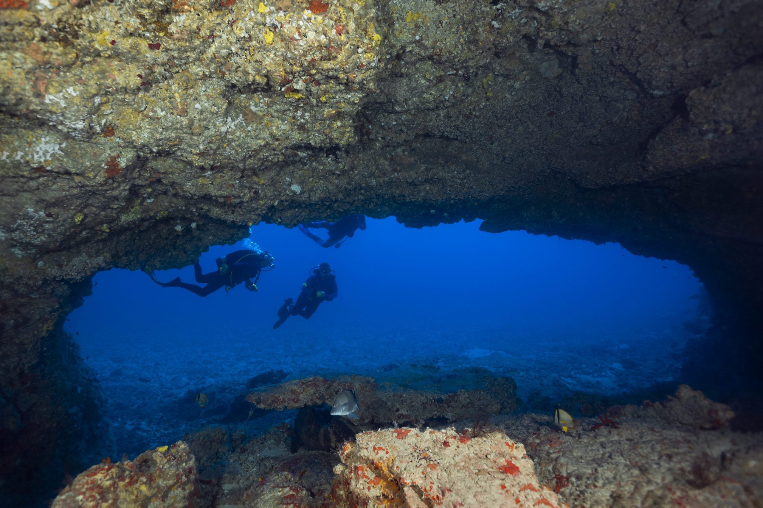 Jupiter’s Hole In The Wall Dive Site