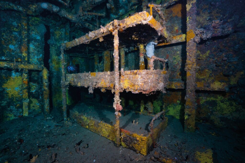 Diving the HMAS Hobart: Explore a World-Class Wreck