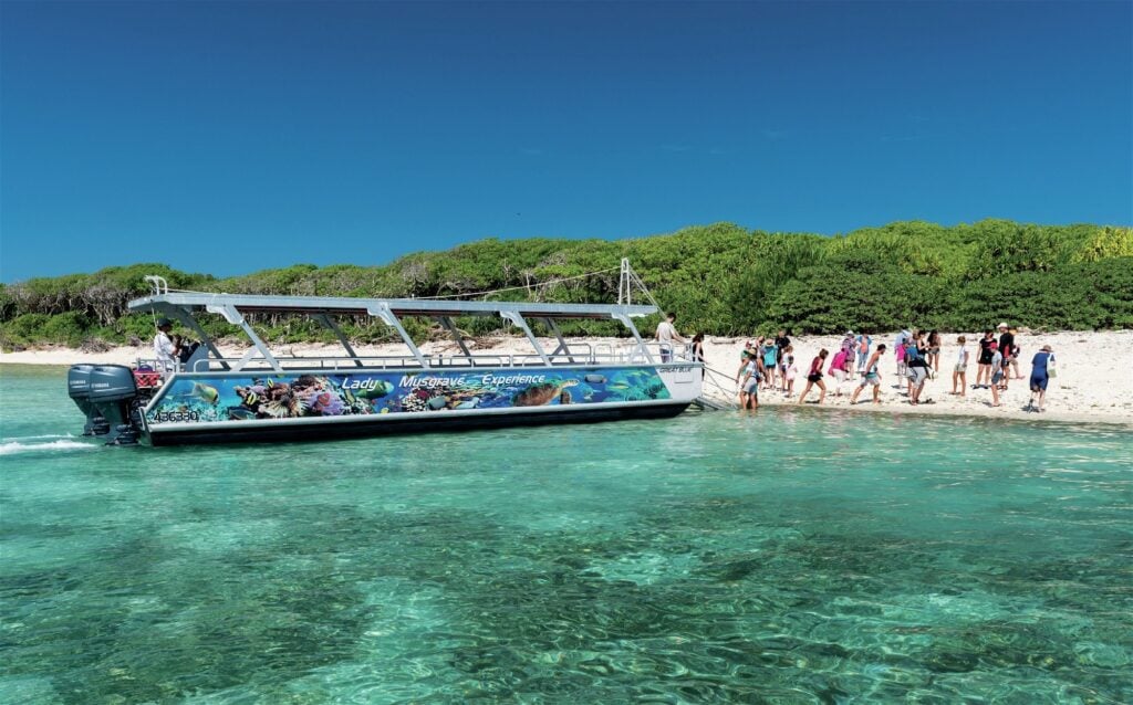 Adrian Stacey's Overnight Dive Adventure at Lady Musgrave Island ...